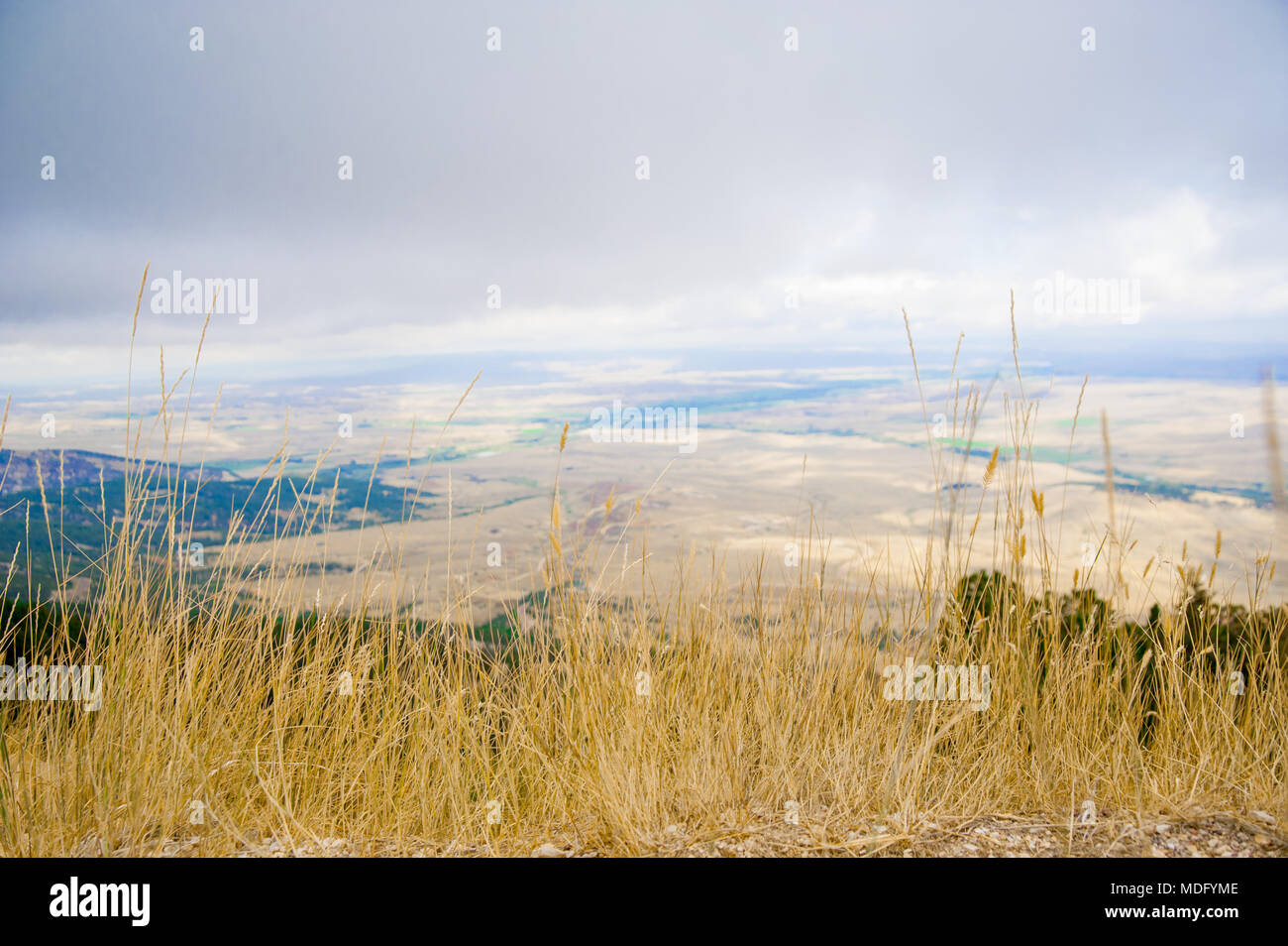 Landscape of the country side in America. America is a continent where ...