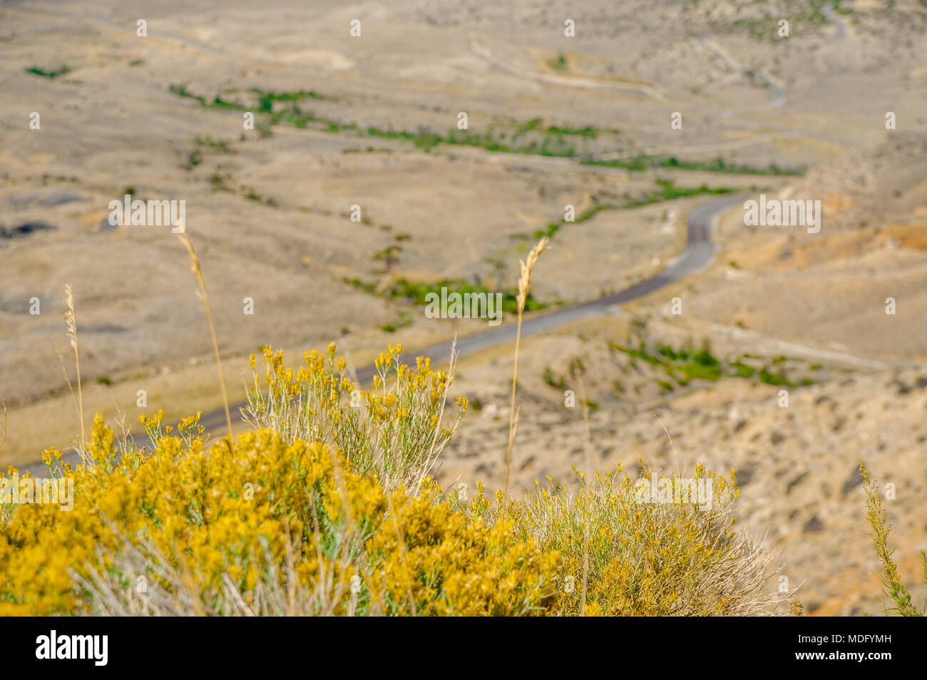 Landscape of the country side in America. America is a continent where ...