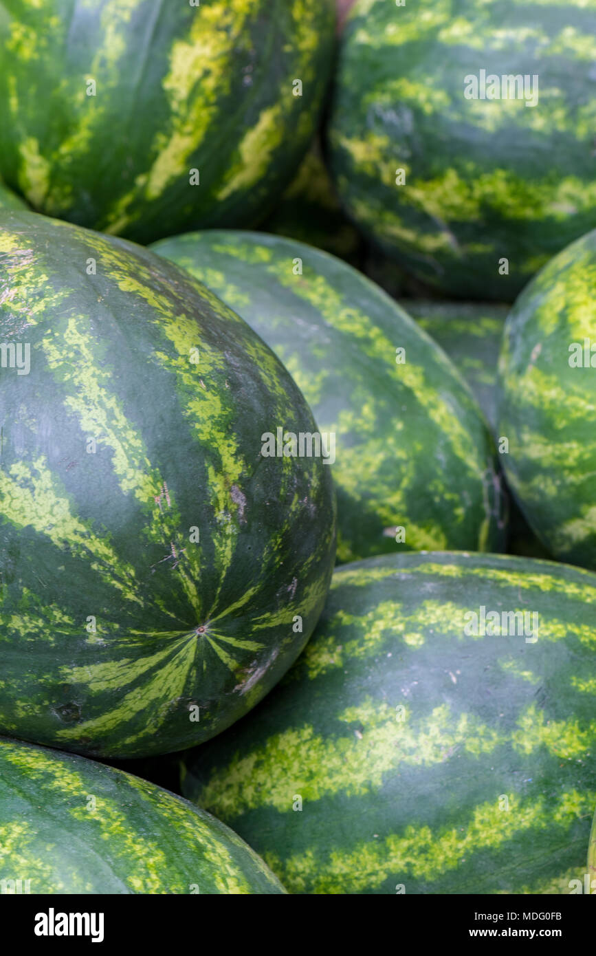 watermelons whole and green striped fruits on sale at London Borough ...
