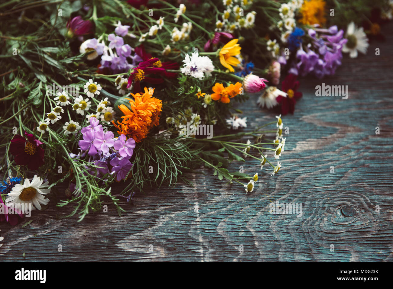 Summer flowers design Stock Photo - Alamy