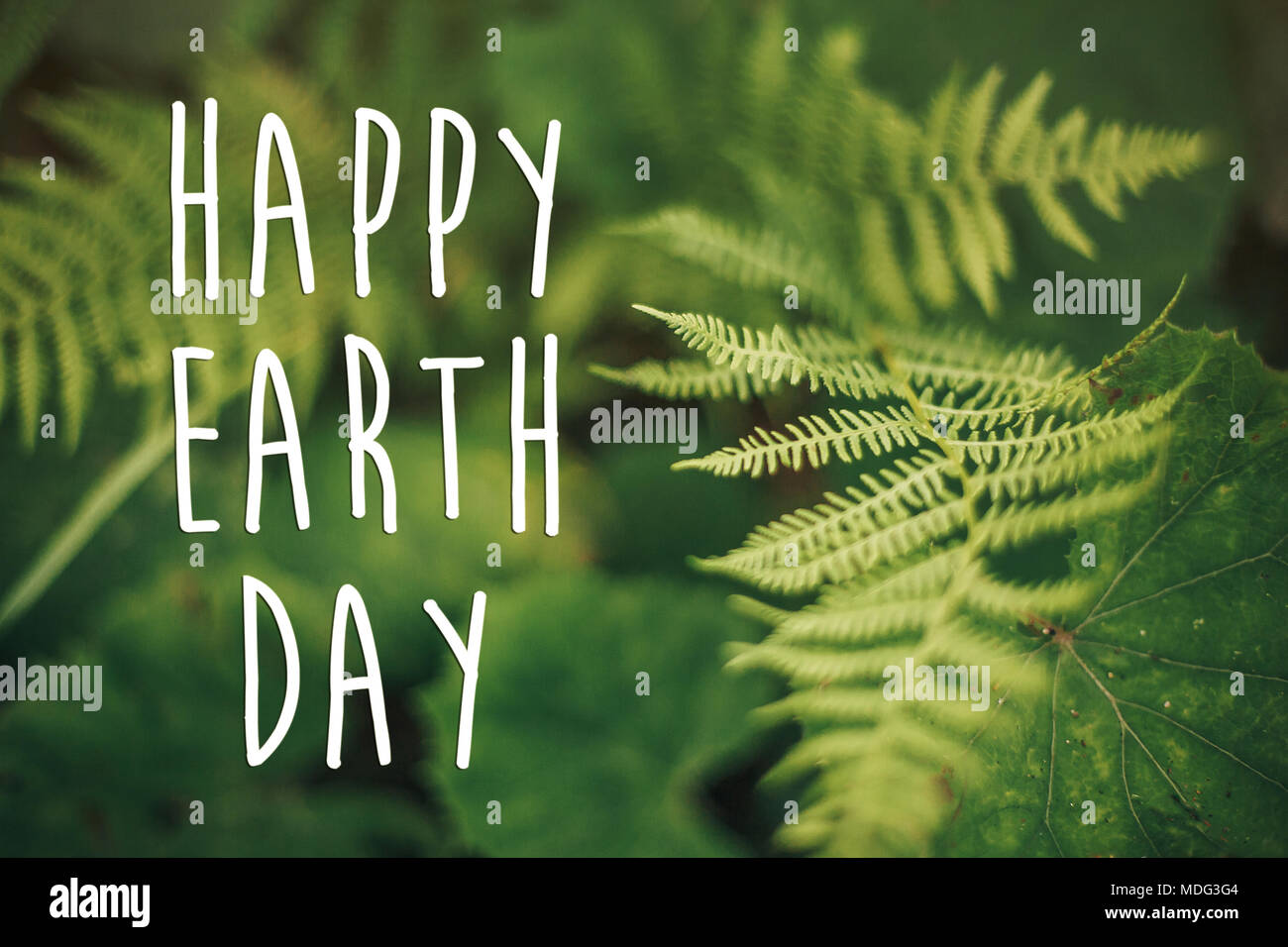 happy earth day text, concept. beautiful fern leaf and moss in woods ...