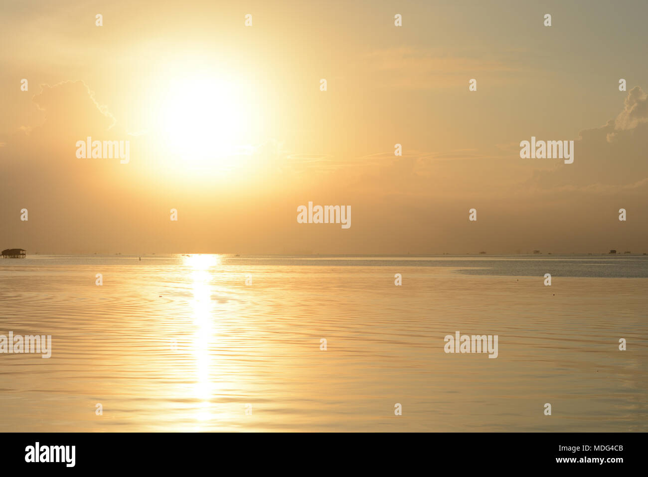 Golden warm color colour golden warm yellow light hi-res stock ...