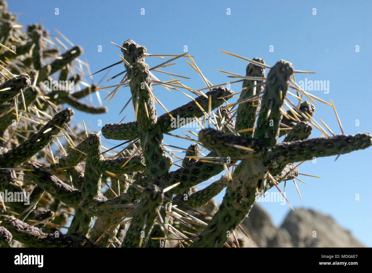 Rock Climb Joshua Tree Big Rocks Mojave Desert Joshua Tree National ...