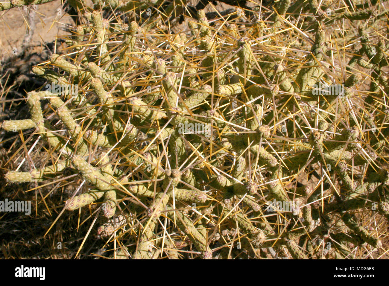 Rock Climb Joshua Tree Big Rocks Mojave Desert Joshua Tree National ...