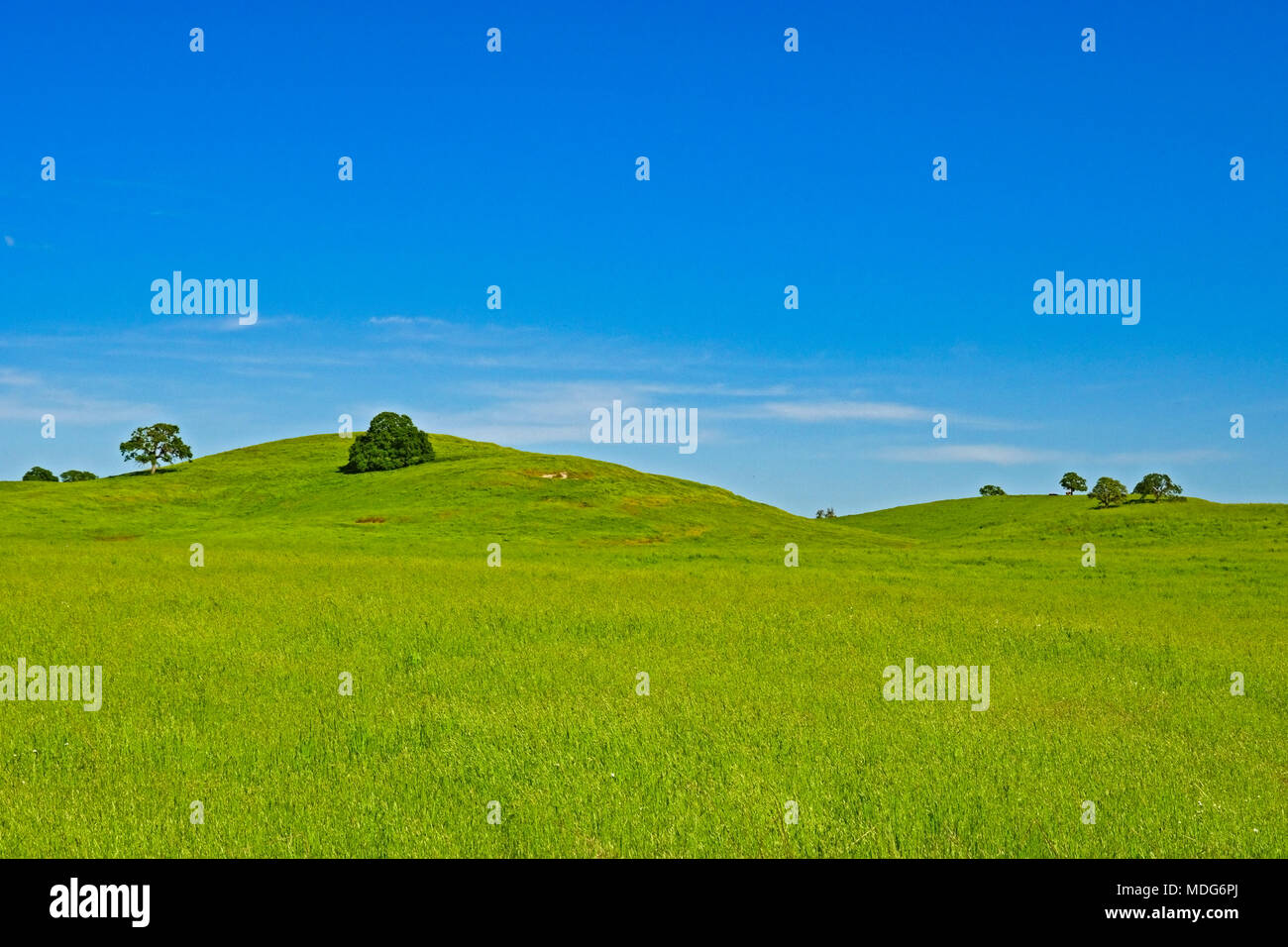 Bucolic countryside hi-res stock photography and images - Alamy