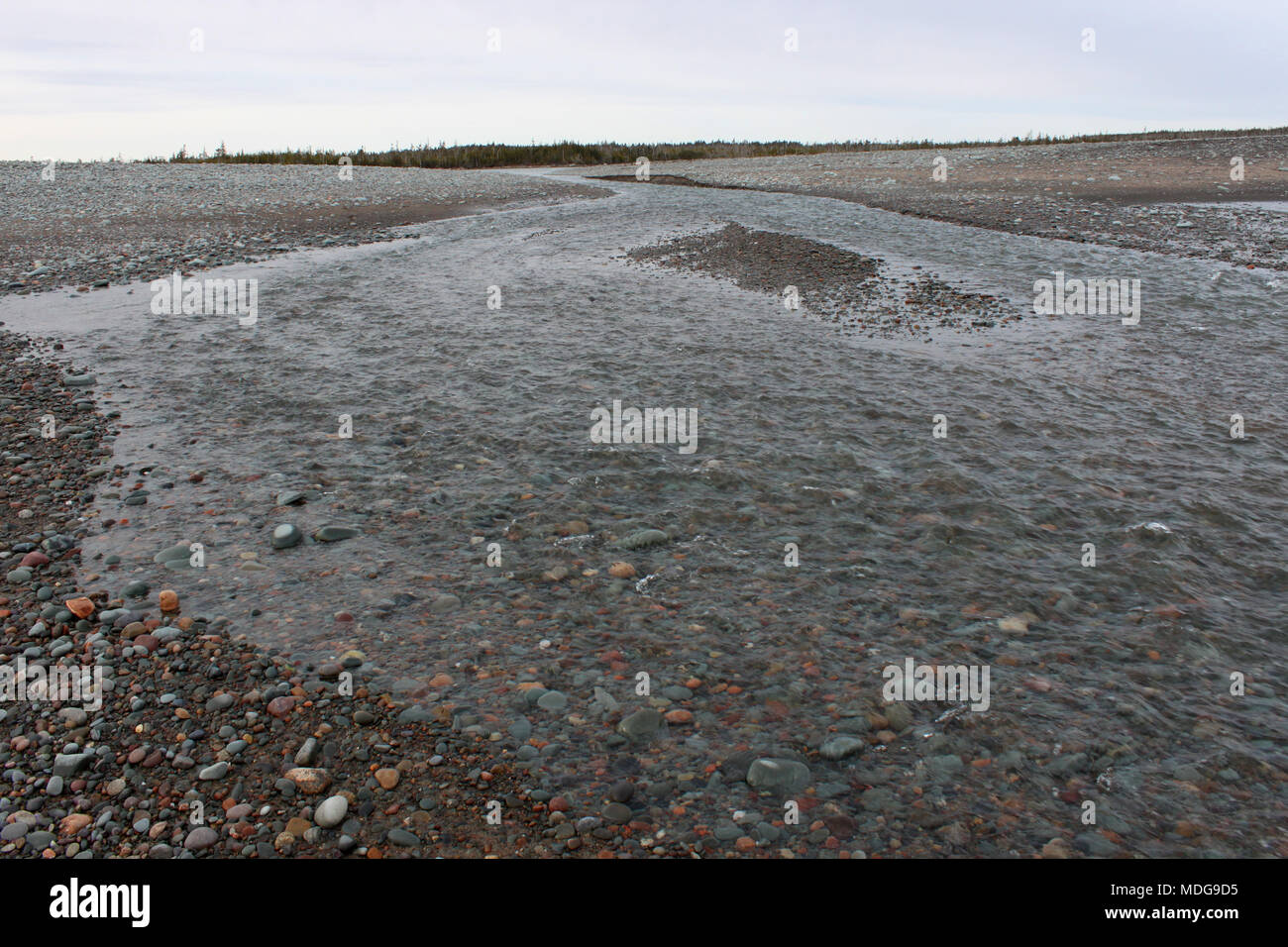 Temporary stream draining Big Lake after barrier breach at Long Beach ...