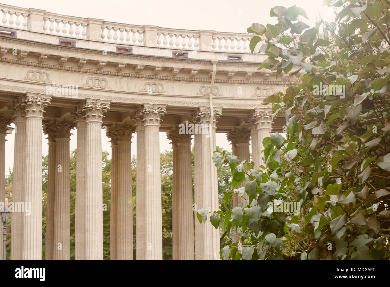 Architectural view of the colonnade of the Kazan Cathedral.Garden of green trees. Saint ...