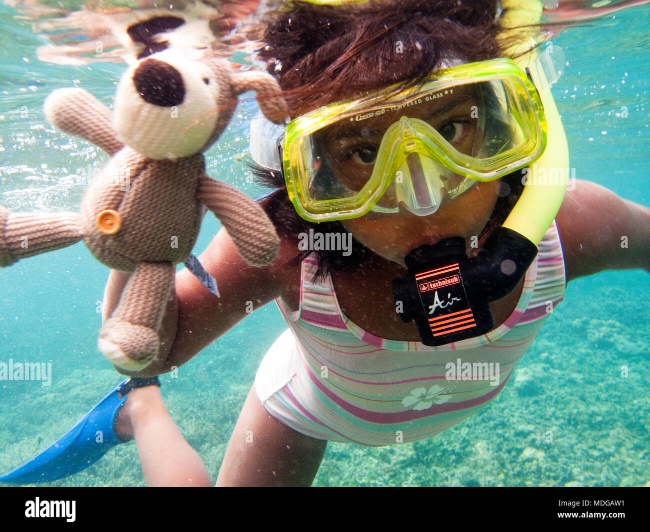 Child snorkelling with soft toy Stock Photo - Alamy