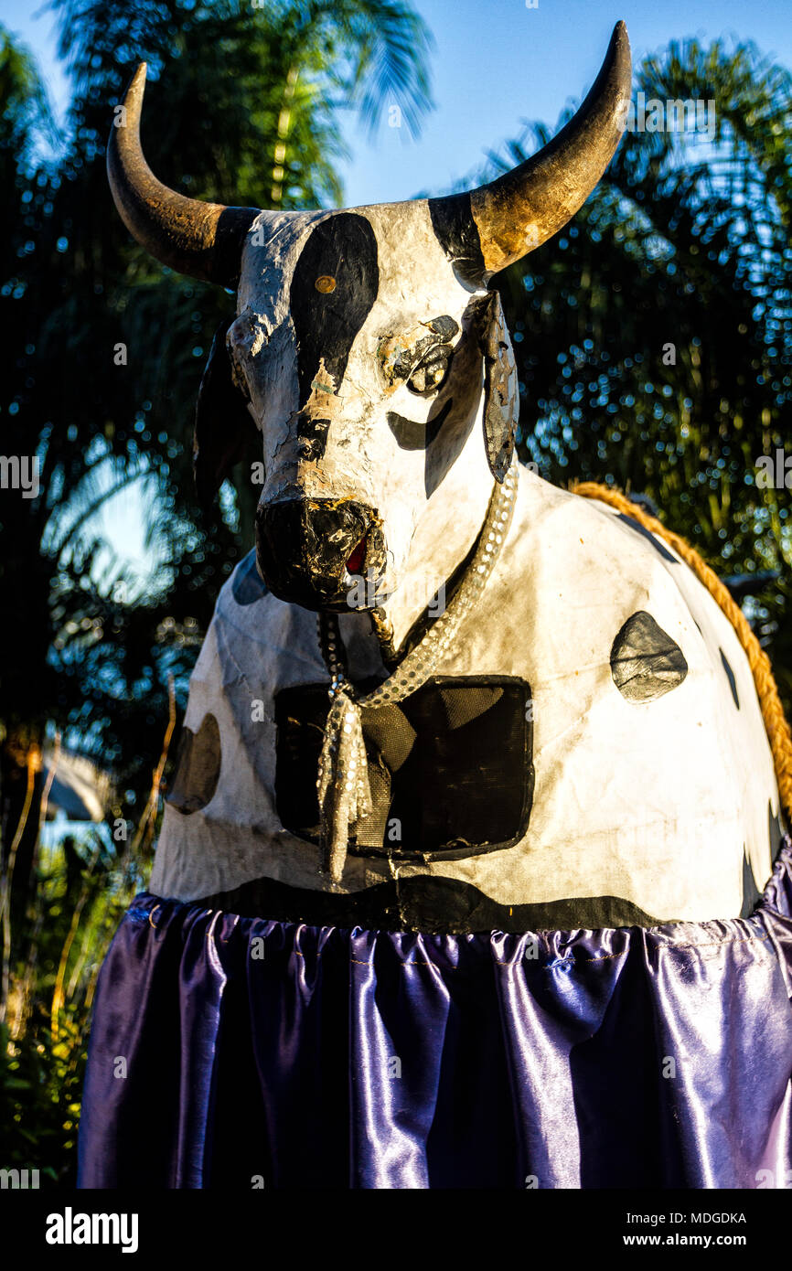 Bull costume used in Boi de Mamao, a traditional interactive play that ...