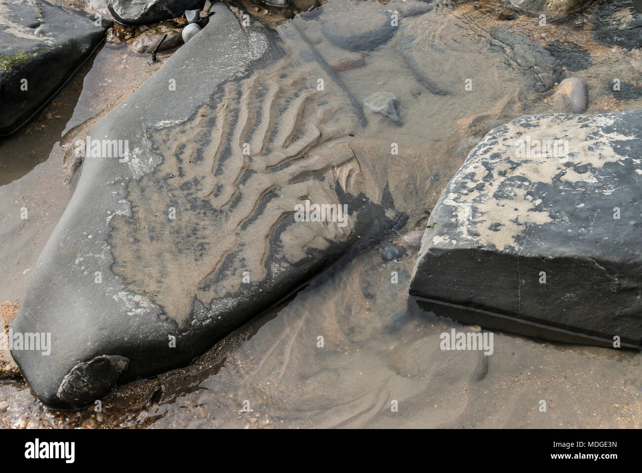 Sand on a rock on Charmouth beach Stock Photo - Alamy