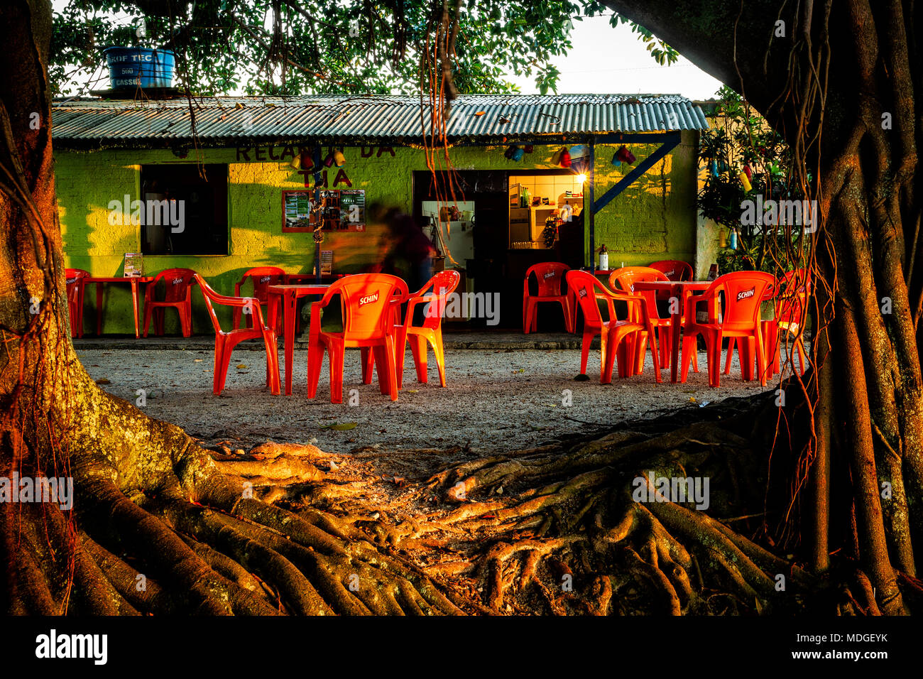 Restaurant tables under trees hi-res stock photography and images - Alamy