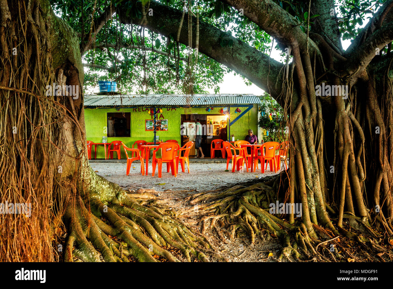Restaurant tables under trees hi-res stock photography and images - Alamy