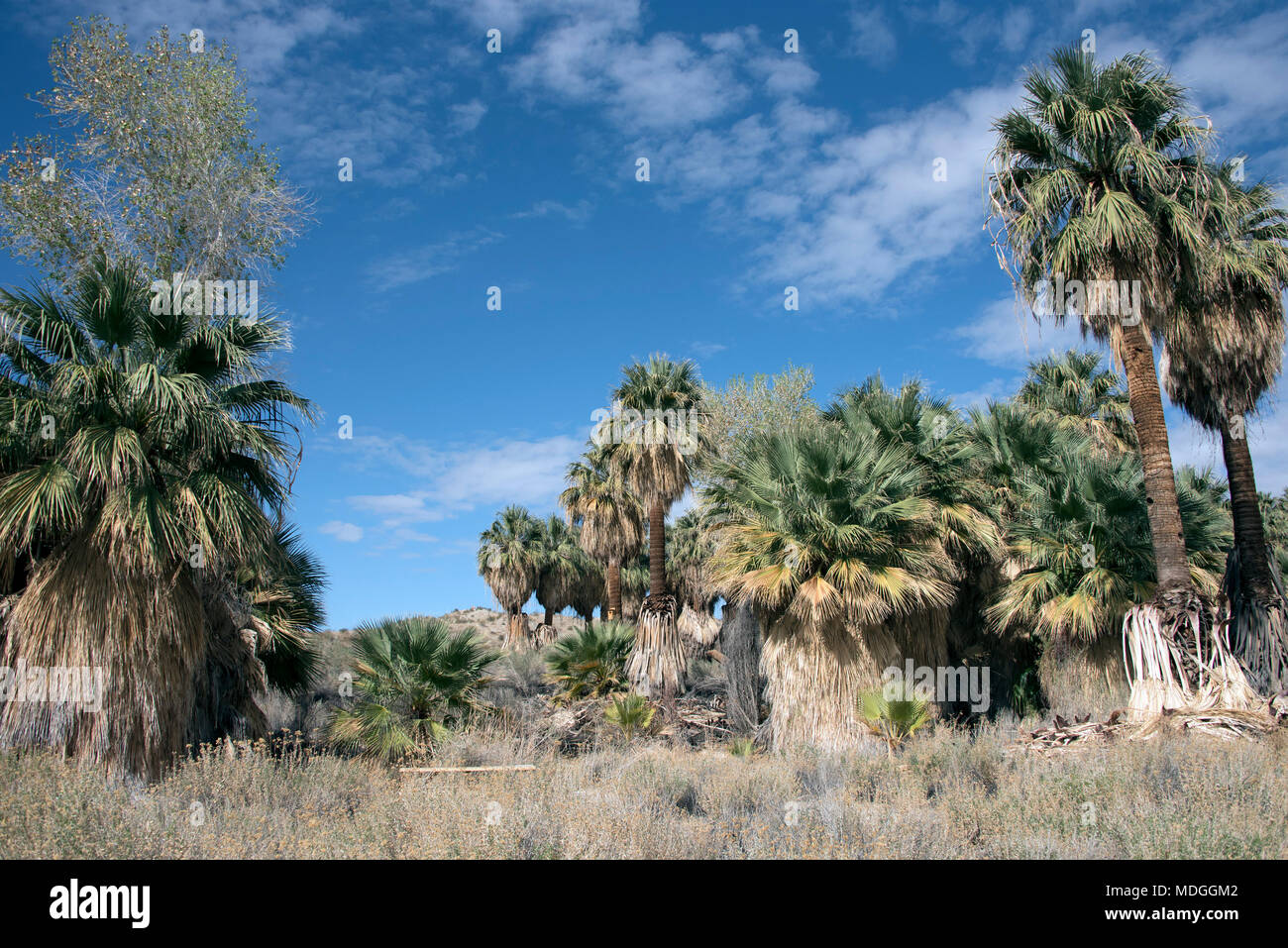 Ice break up on beach in winter Stock Photo - Alamy