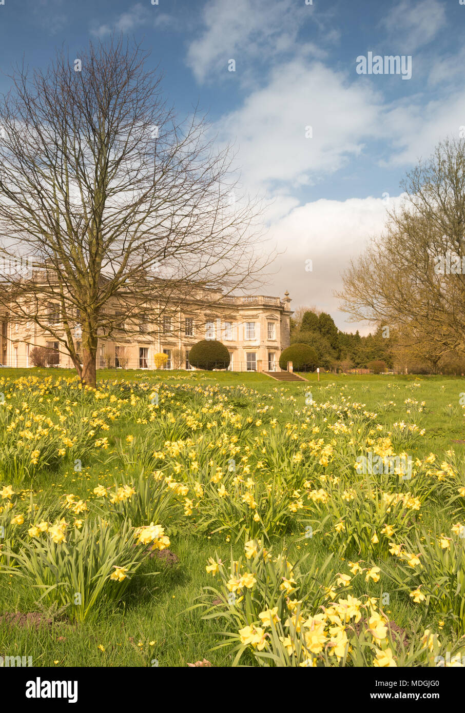 Buddhist centre pocklington hi-res stock photography and images - Alamy