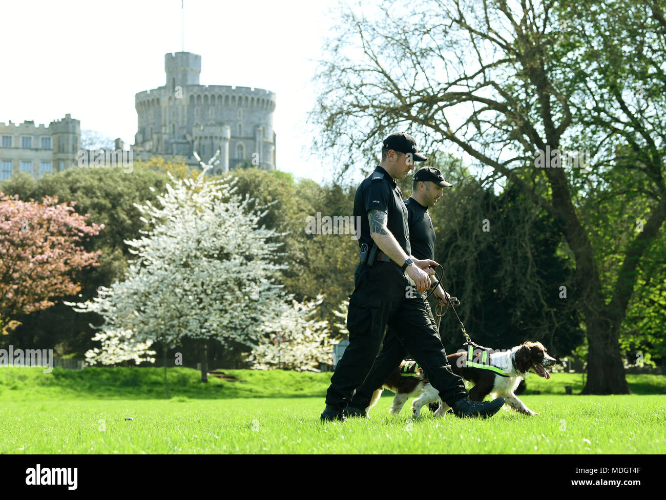 Thames valley police joint operations dog unit on patrol hi-res stock ...