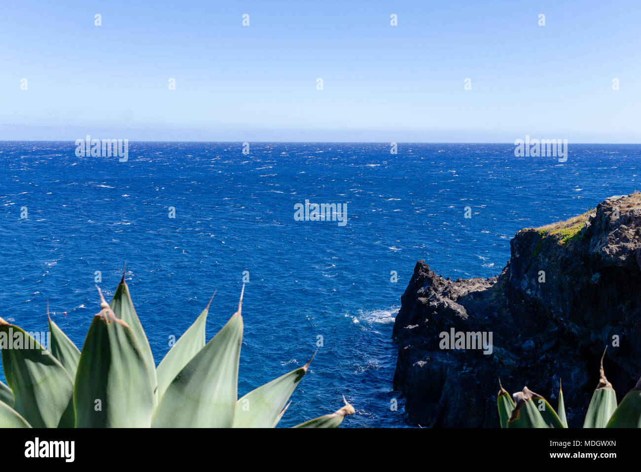 madeira landscape ocean plants spring summer Stock Photo - Alamy