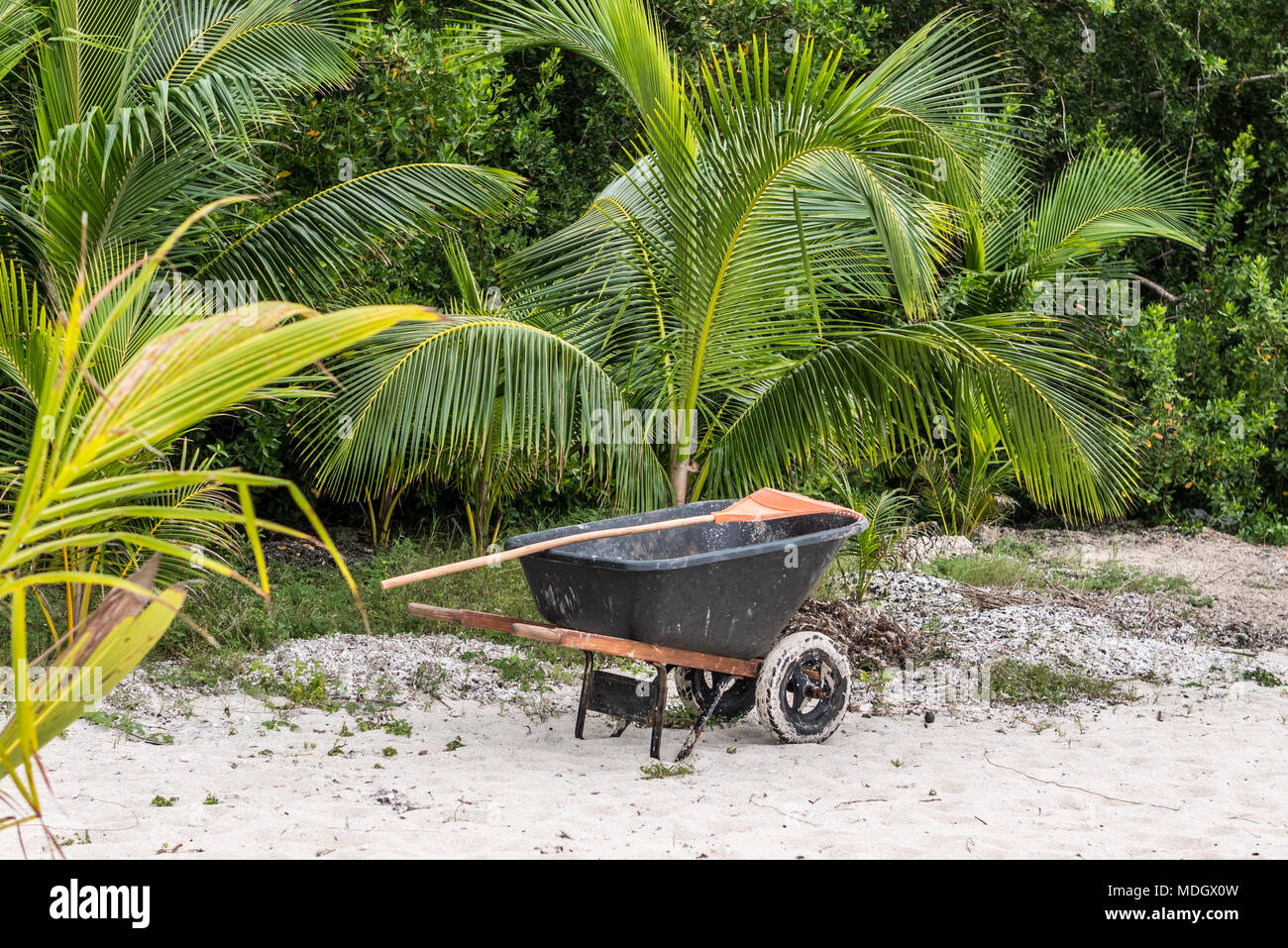 A wheelbarrow and rake used for landscaping on a sandy beach Stock ...
