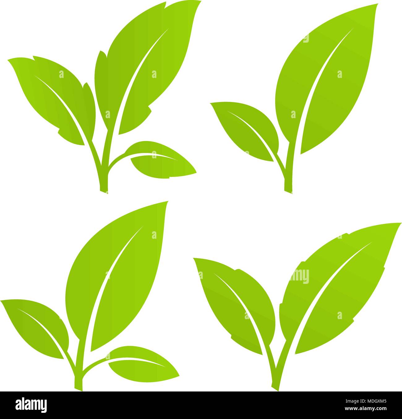 Leaf Stock Vector Images - Alamy