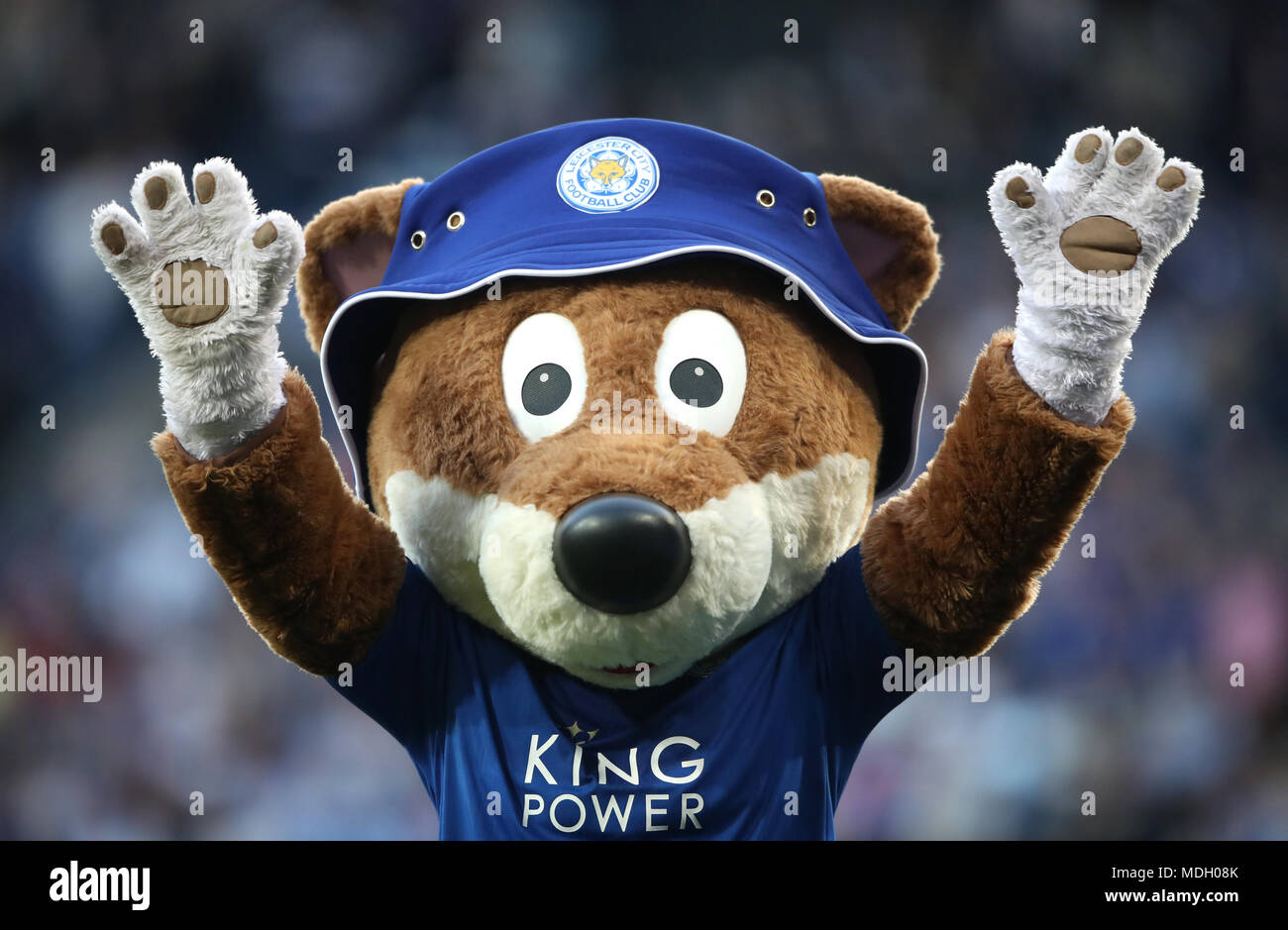 Leicester city mascot hi-res stock photography and images - Alamy
