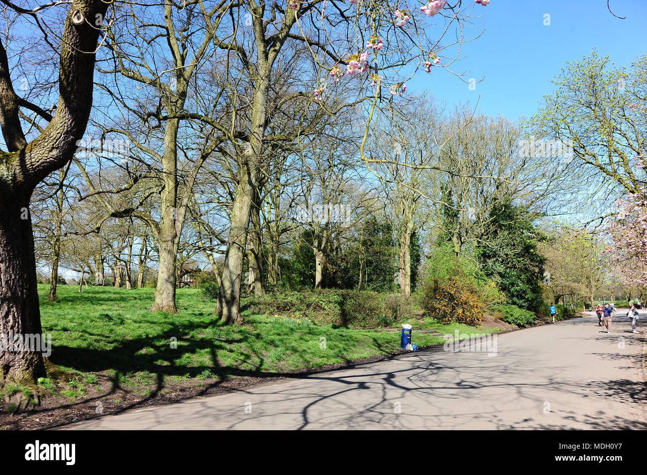 spring time in Sefton Park, Liverpool, England Stock Photo - Alamy