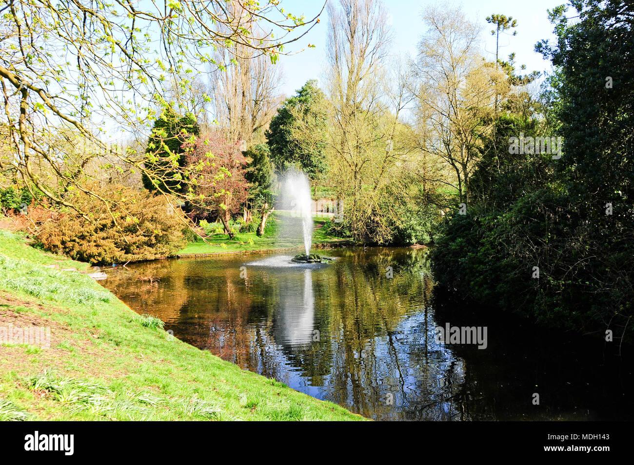 spring time in Sefton Park, Liverpool, England Stock Photo - Alamy