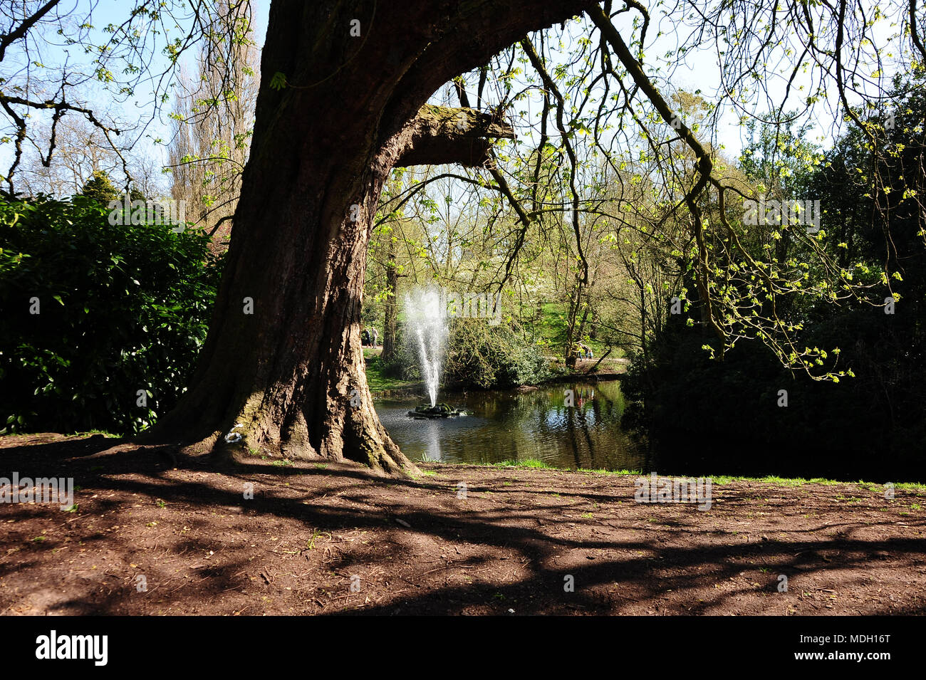 spring time in Sefton Park, Liverpool, England Stock Photo - Alamy