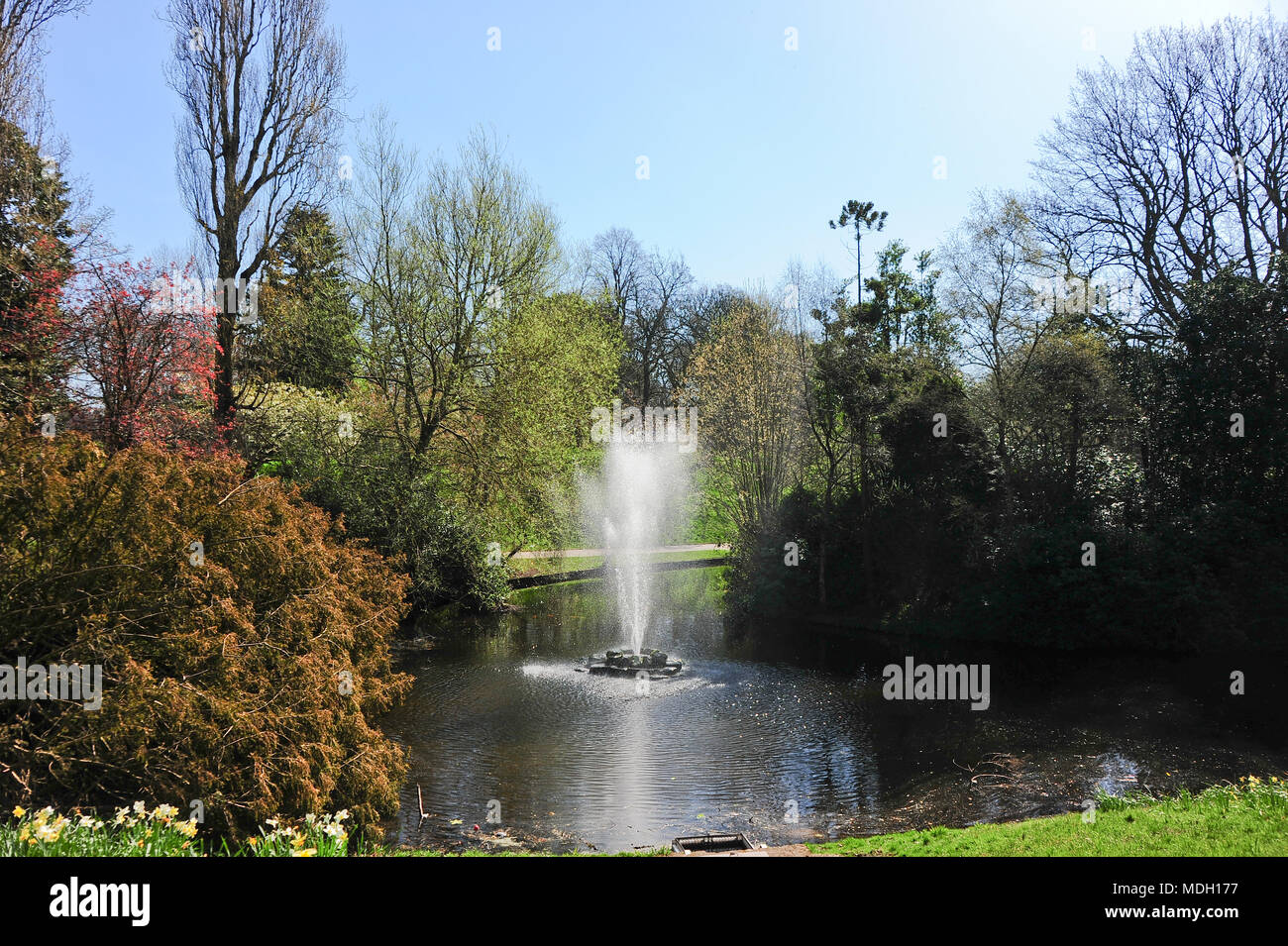 spring time in Sefton Park, Liverpool, England Stock Photo - Alamy