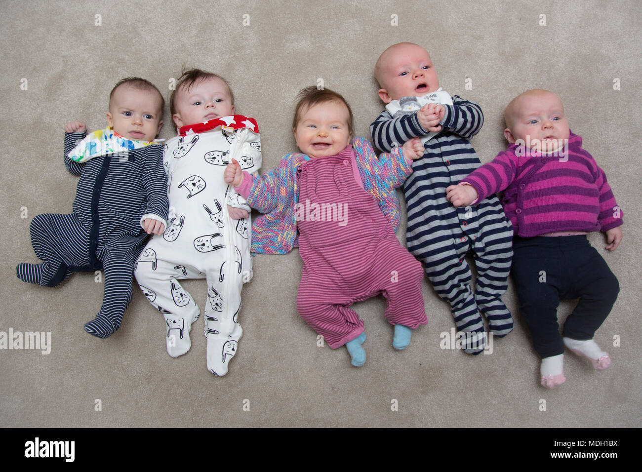 group of cute babies Stock Photo - Alamy