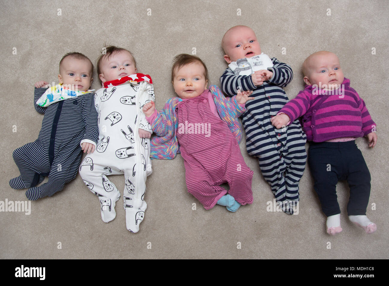 group of cute babies Stock Photo - Alamy