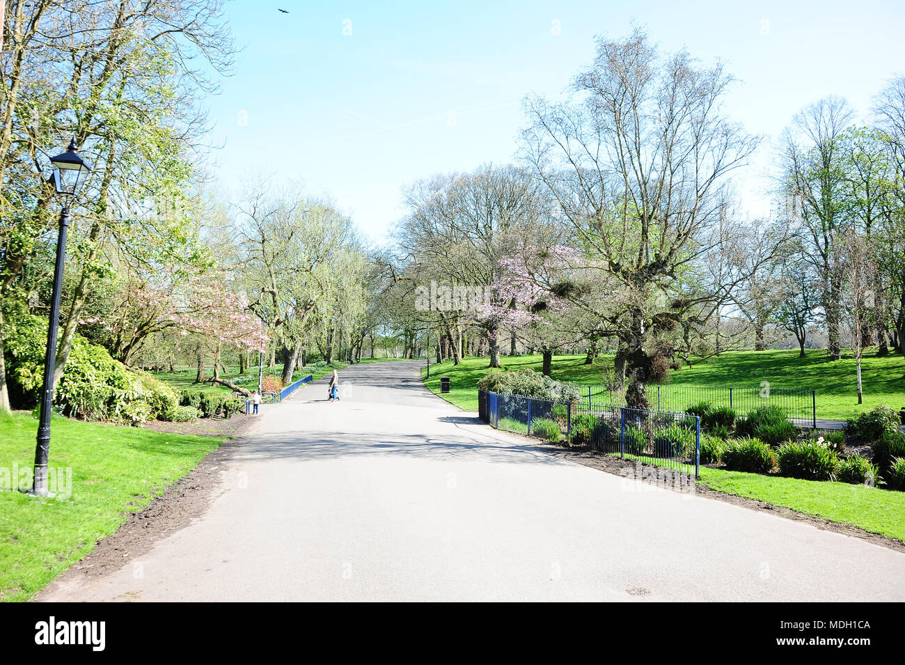 spring time in Sefton Park, Liverpool, England Stock Photo - Alamy