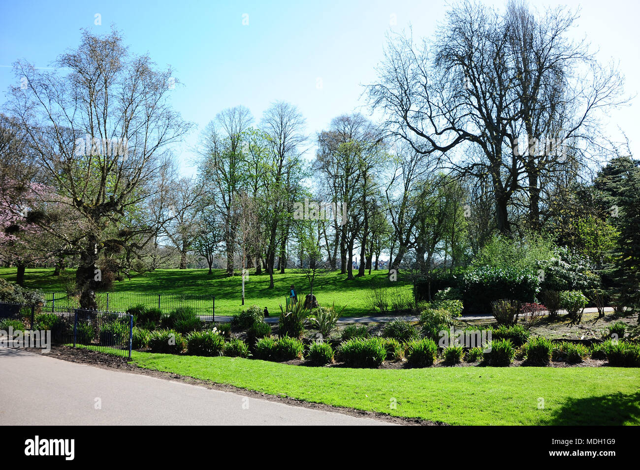 spring time in Sefton Park, Liverpool, England Stock Photo - Alamy