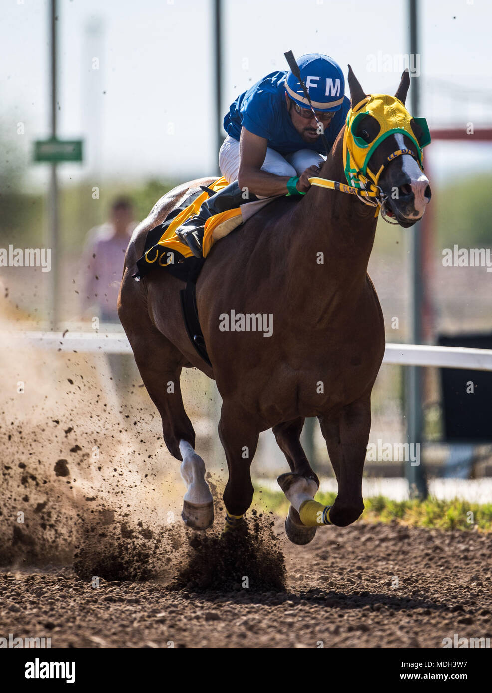 Horse racing at sunset at Hipodromo of Hermosillo, Sonora Mexico ...