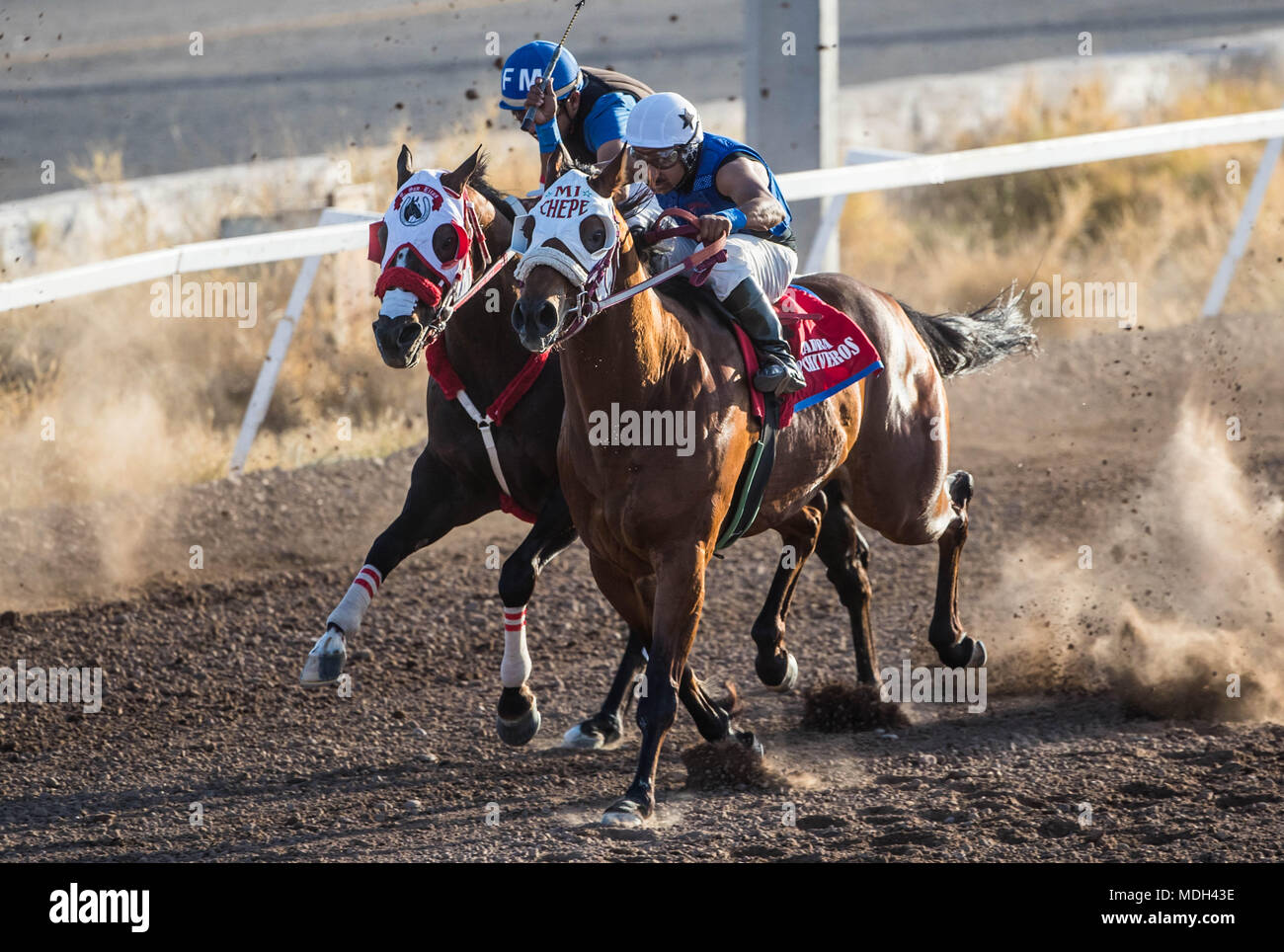 Horse racing at sunset at Hipodromo of Hermosillo, Sonora Mexico ...