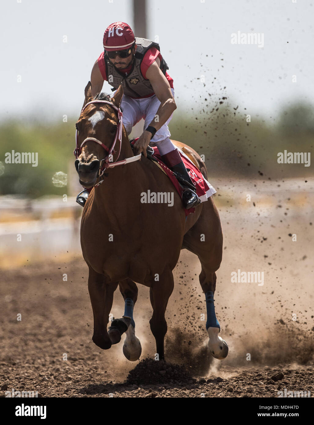 Horse racing at sunset at Hipodromo of Hermosillo, Sonora Mexico ...