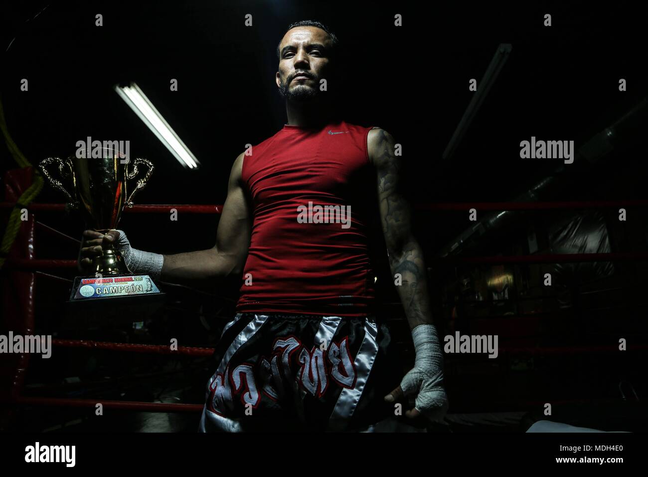 Portrait of sportsman. MMA, Mixed Martial Arts. Karate, Taekwondo, Jiu ...