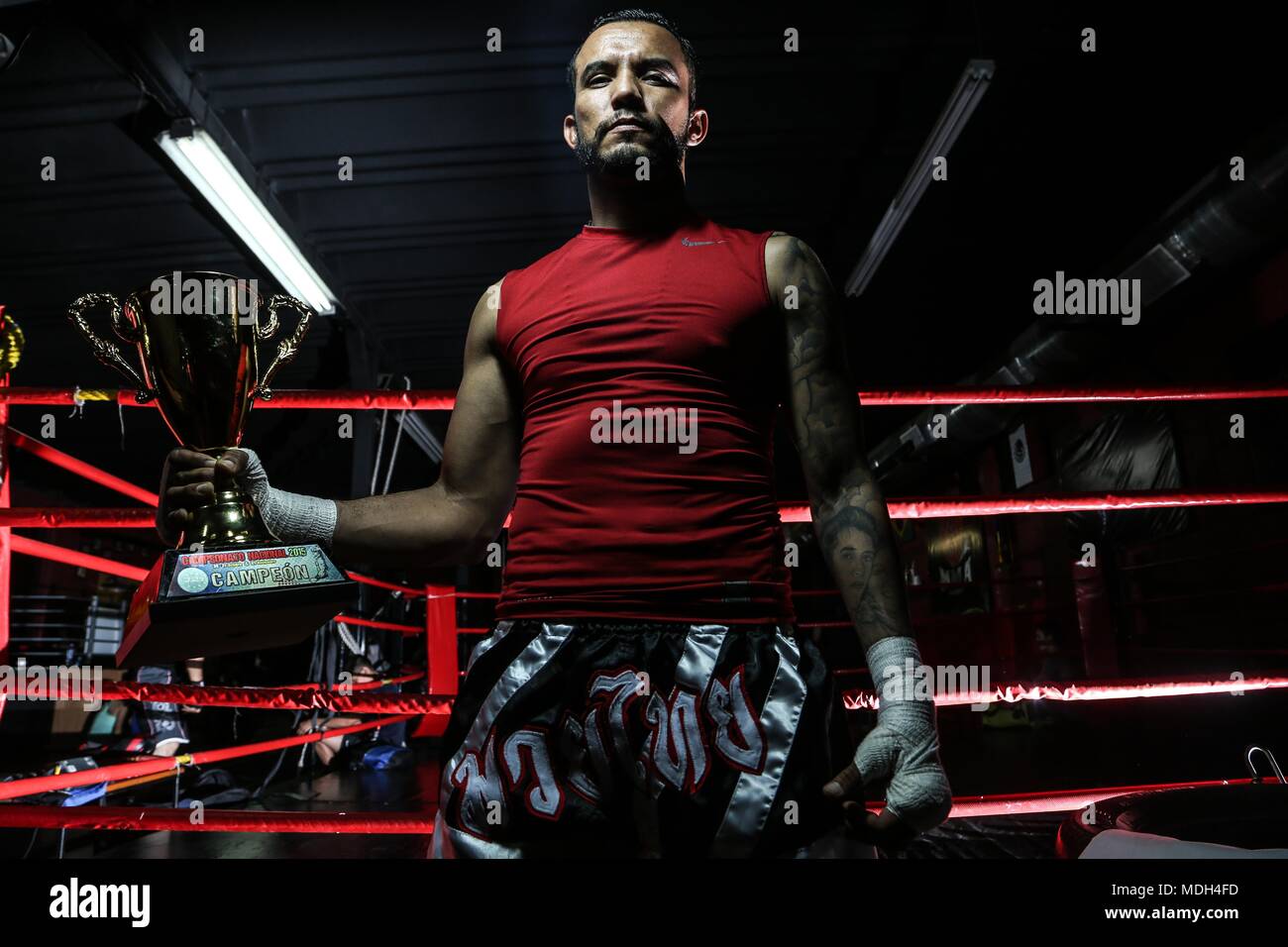 Portrait of sportsman. MMA, Mixed Martial Arts. Karate, Taekwondo, Jiu ...