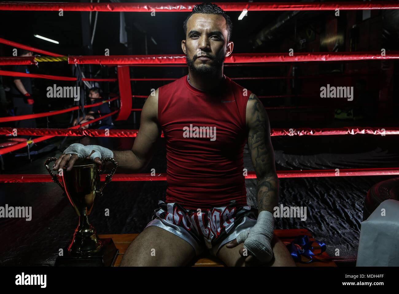 Portrait of sportsman. MMA, Mixed Martial Arts. Karate, Taekwondo, Jiu ...