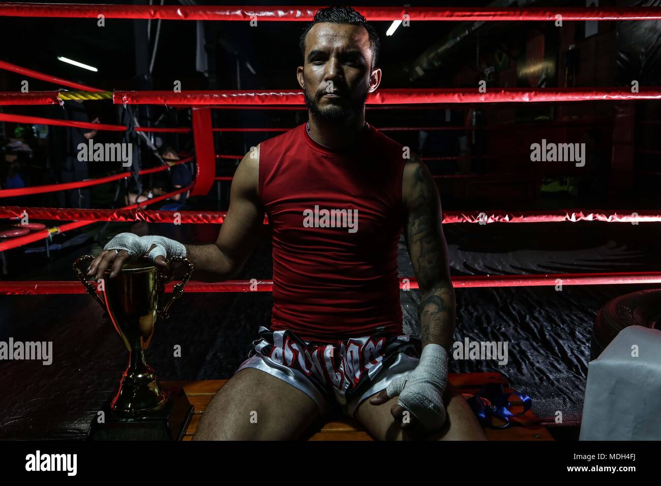 Mens mma hi-res stock photography and images - Alamy