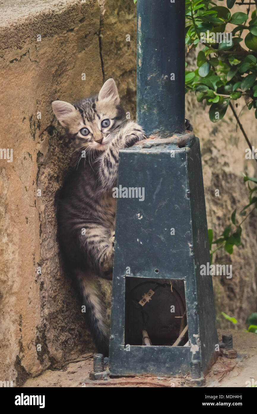 Lighting column hi-res stock photography and images - Alamy