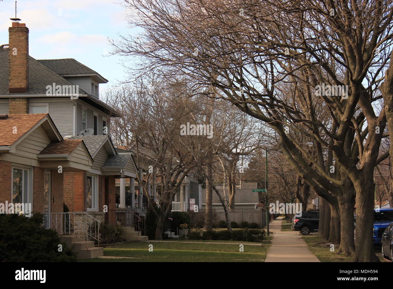 Suburban Streetscape