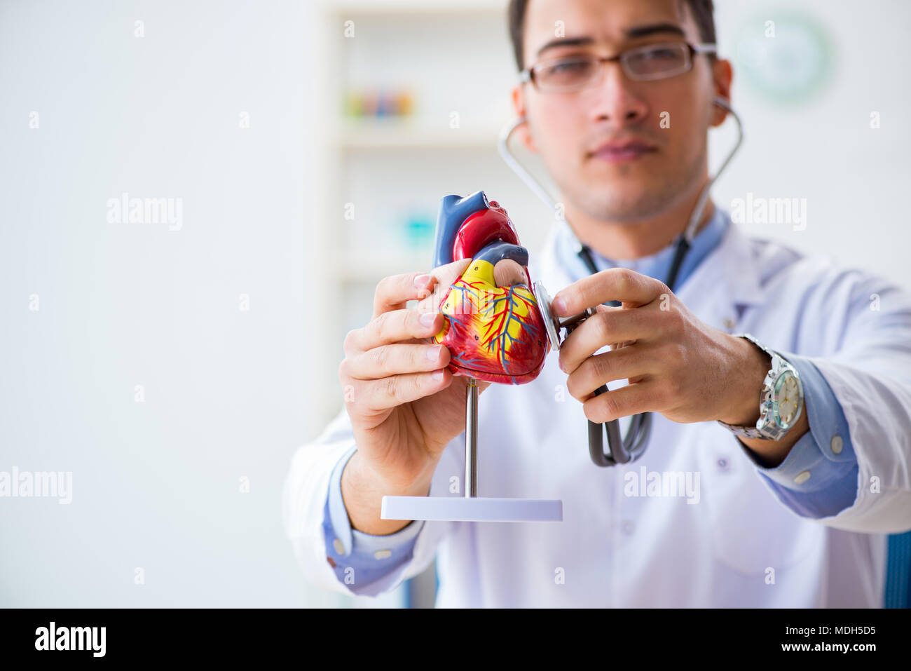 Doctor explaining the heart model Stock Photo - Alamy