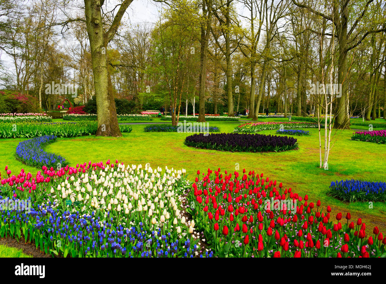 Spring Formal Park with soft grass, trees and fresh flowers Stock Photo ...