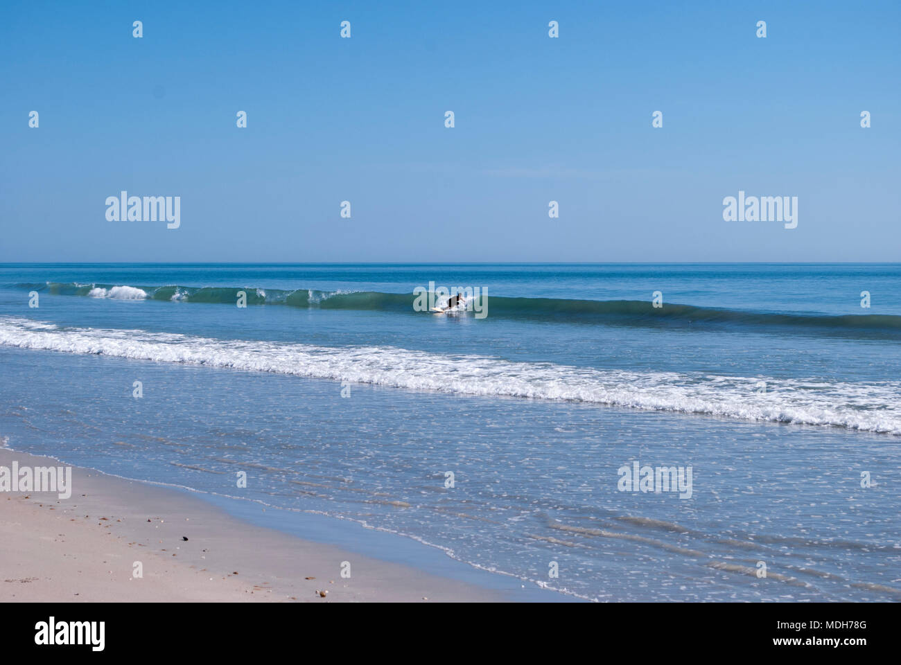 Surfer rides ocean wave. Young man running by ocean shore with surfing ...