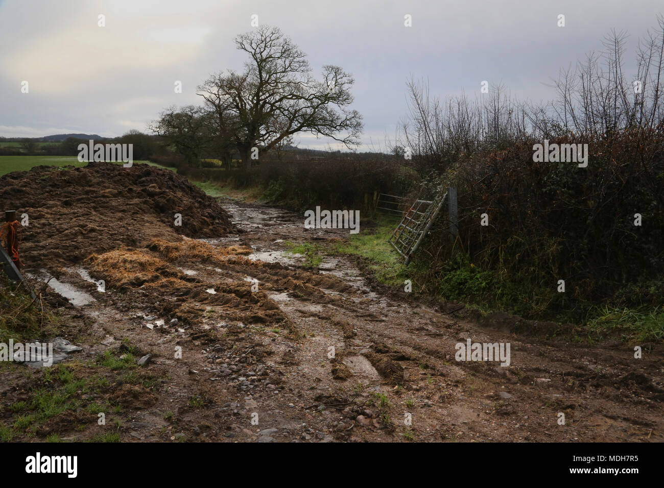 Wet farm land hi-res stock photography and images - Alamy