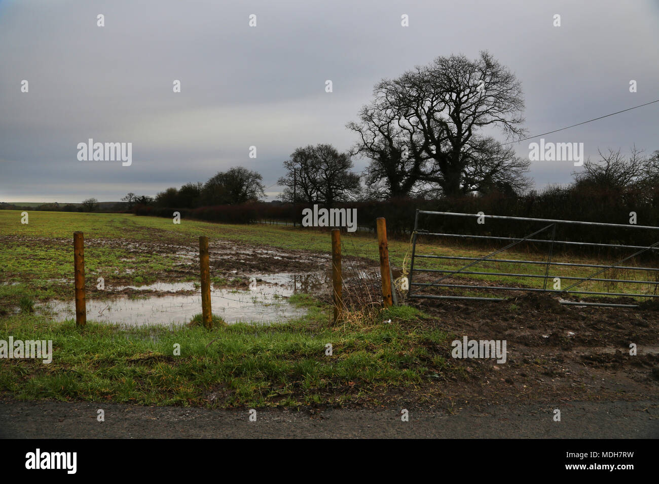 Muddy Farm Land By Country Road near Gillingham Dorset England Stock ...