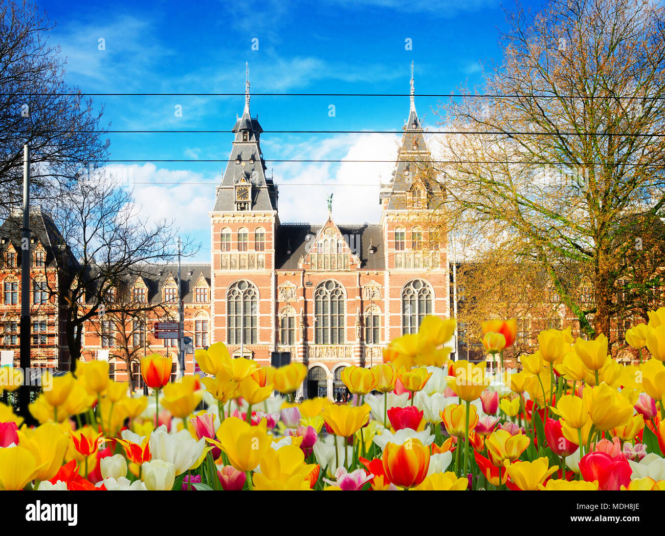 Rijksmuseum and Amsterdam street at spring with tulips , Netherlands ...