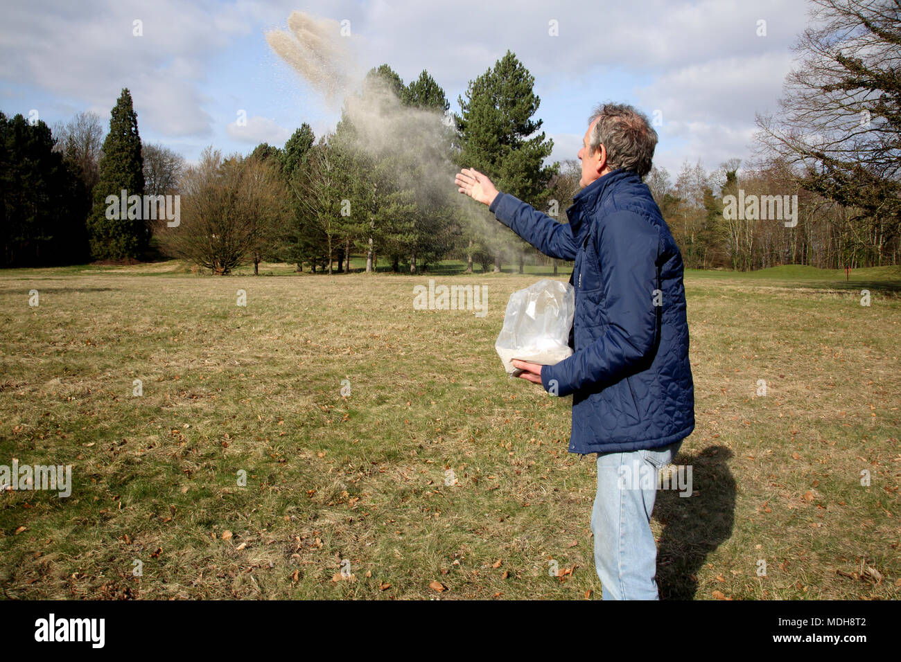 Man Scattering Ashes of Friend at Golf Course Surrey England Stock ...