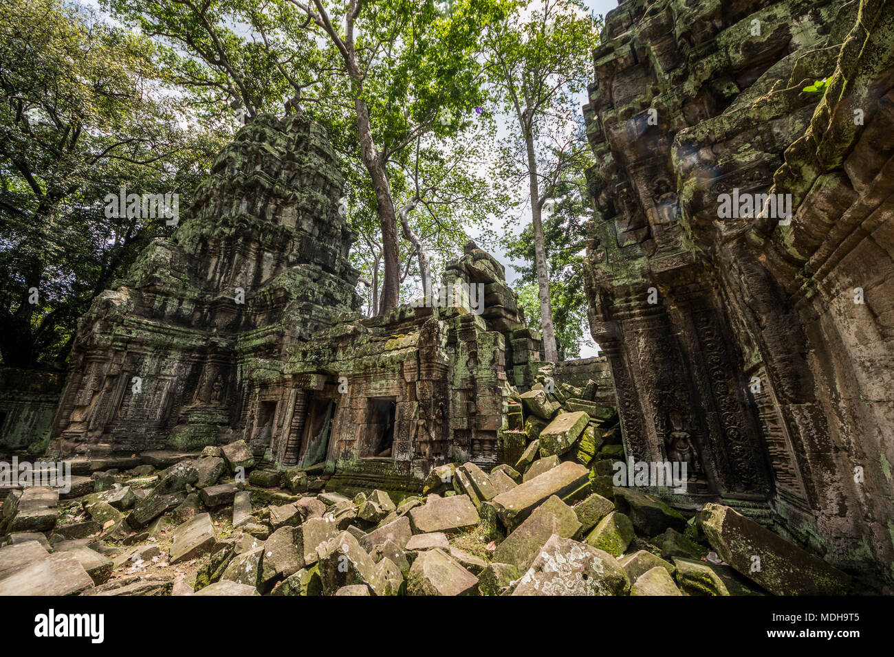 Overgrown temple hi-res stock photography and images - Alamy