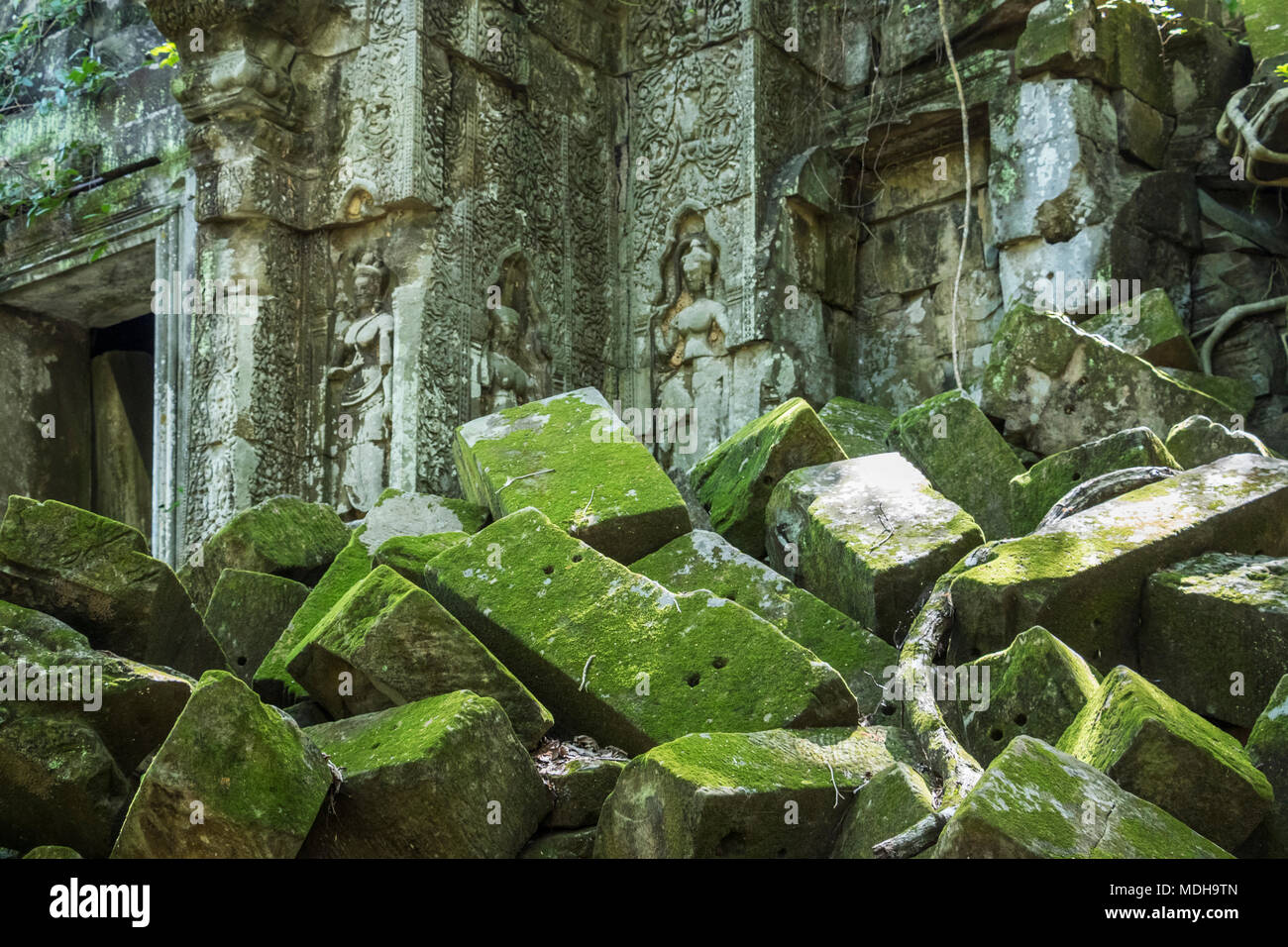 Moss temple hi-res stock photography and images - Alamy