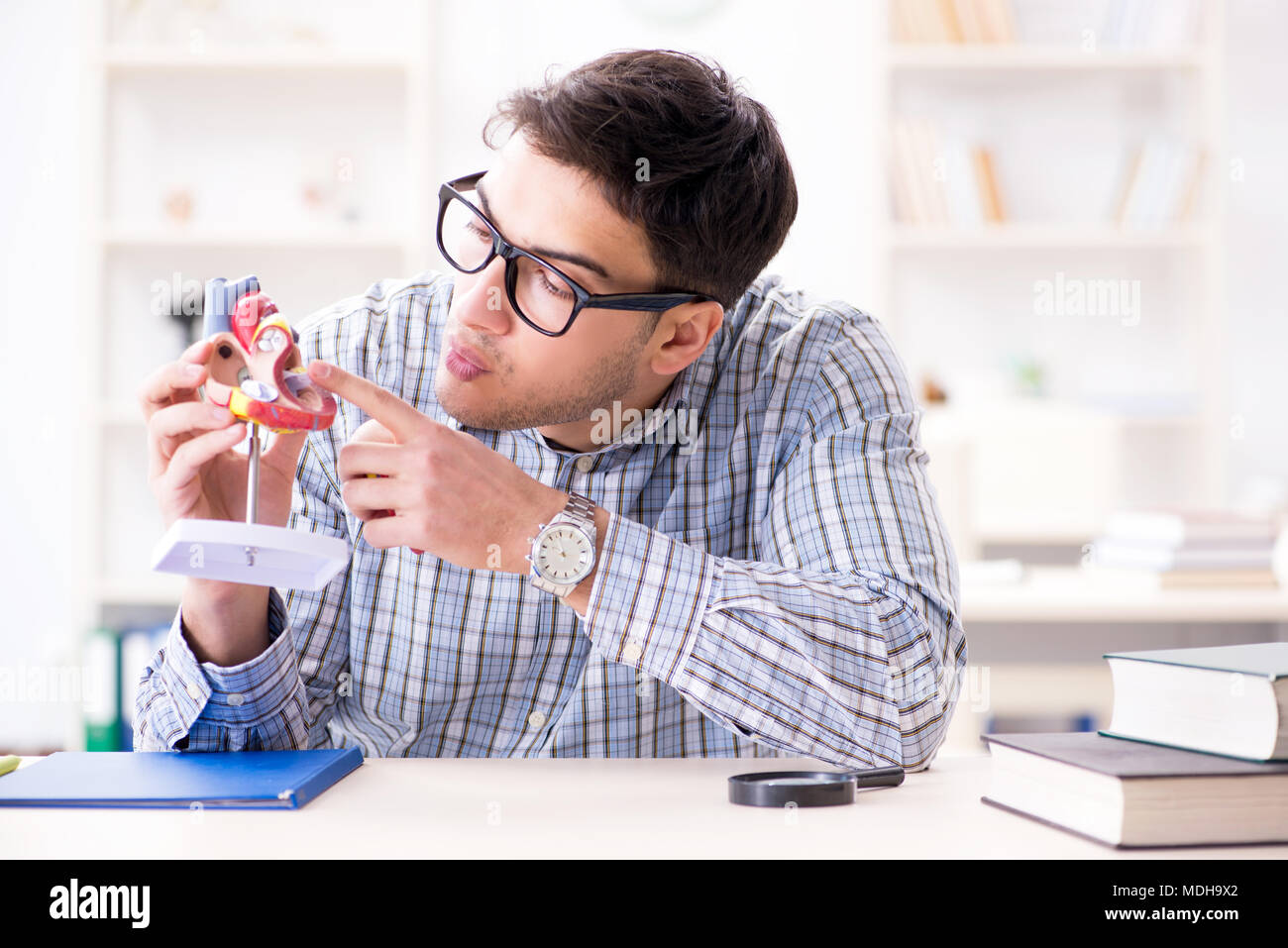 Medical student studing the heart Stock Photo - Alamy